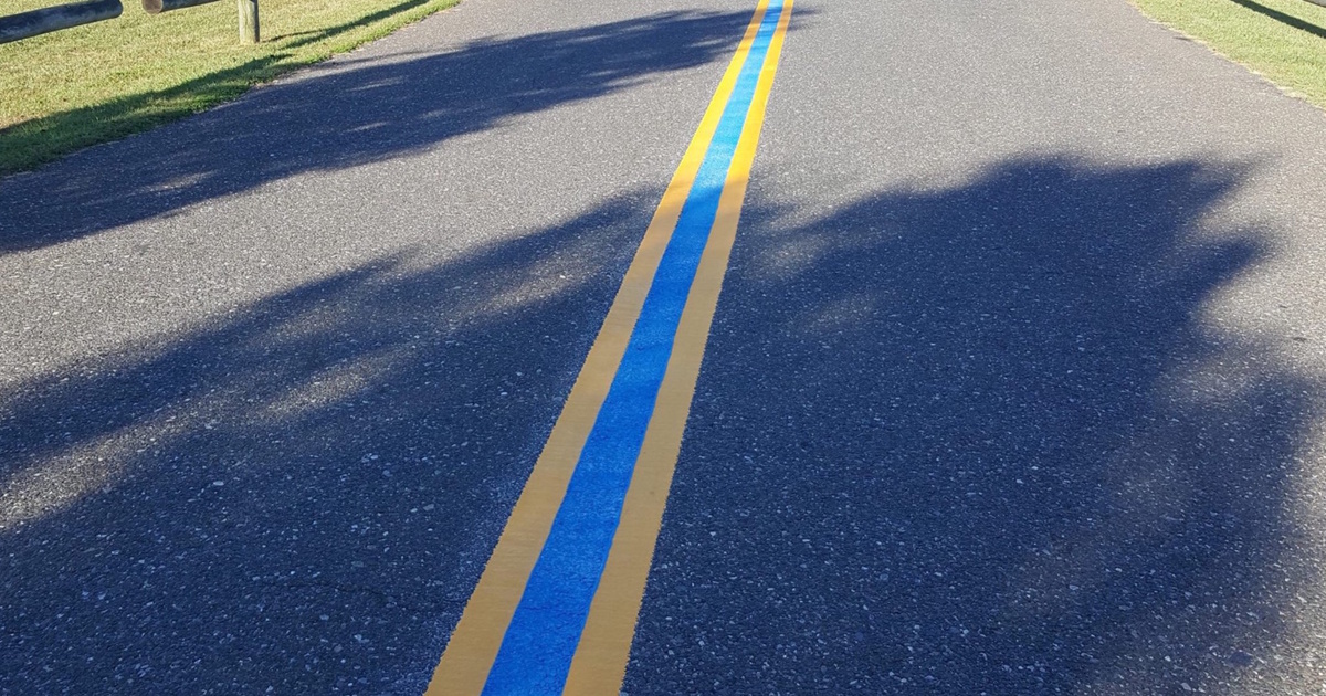 If you’ve ever see a blue line painted on the street, here’s what it ...