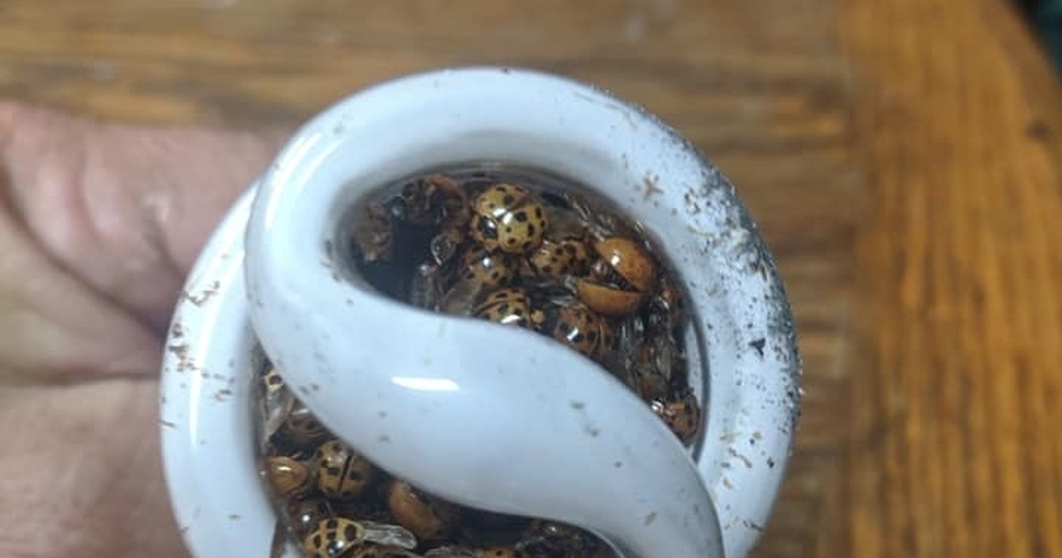 Man Warns Others After Startling Light Bulb Discovery - Yohanpost