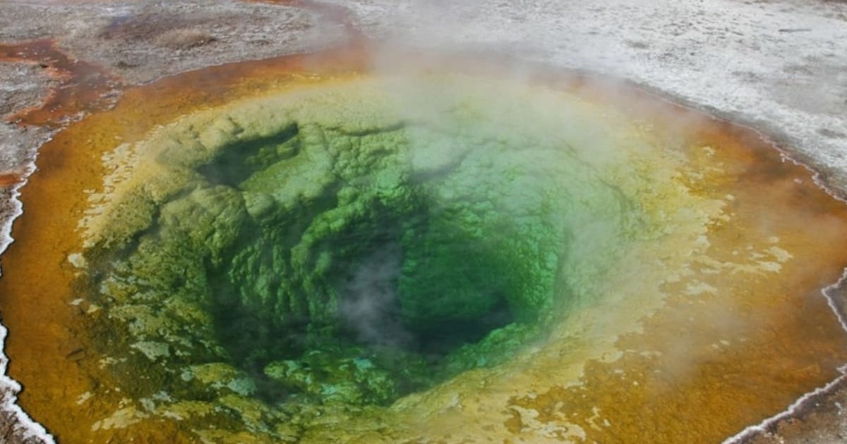 Man Accidentally Fell into Yellowstone Hot Spring and was Completely ...