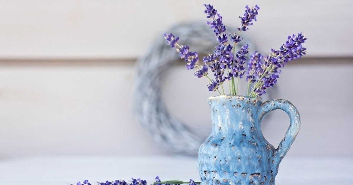 These Flowers Promise to Improve Your Mental Health and Bring ...