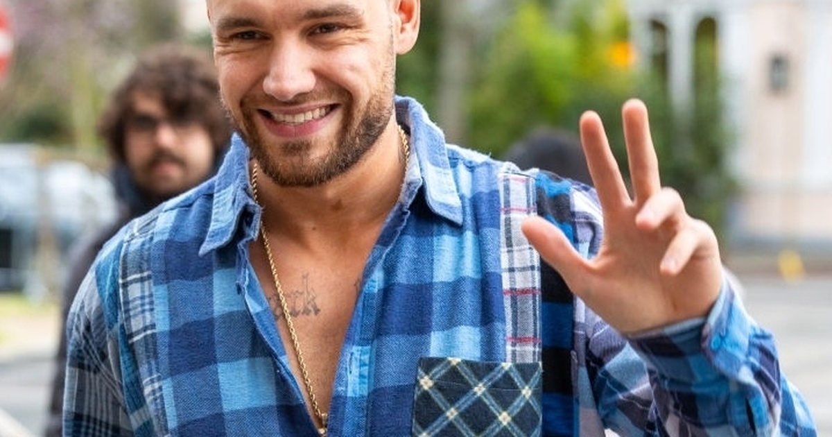 Footage shows Liam Payne enjoying Niall Horan concert with girlfriend ...