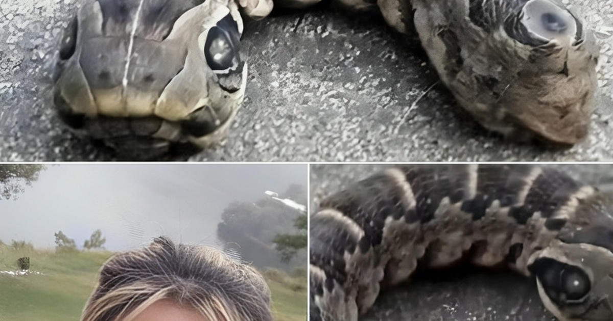 Woman discovers strange snake-like creature in her back garden - Yohanpost