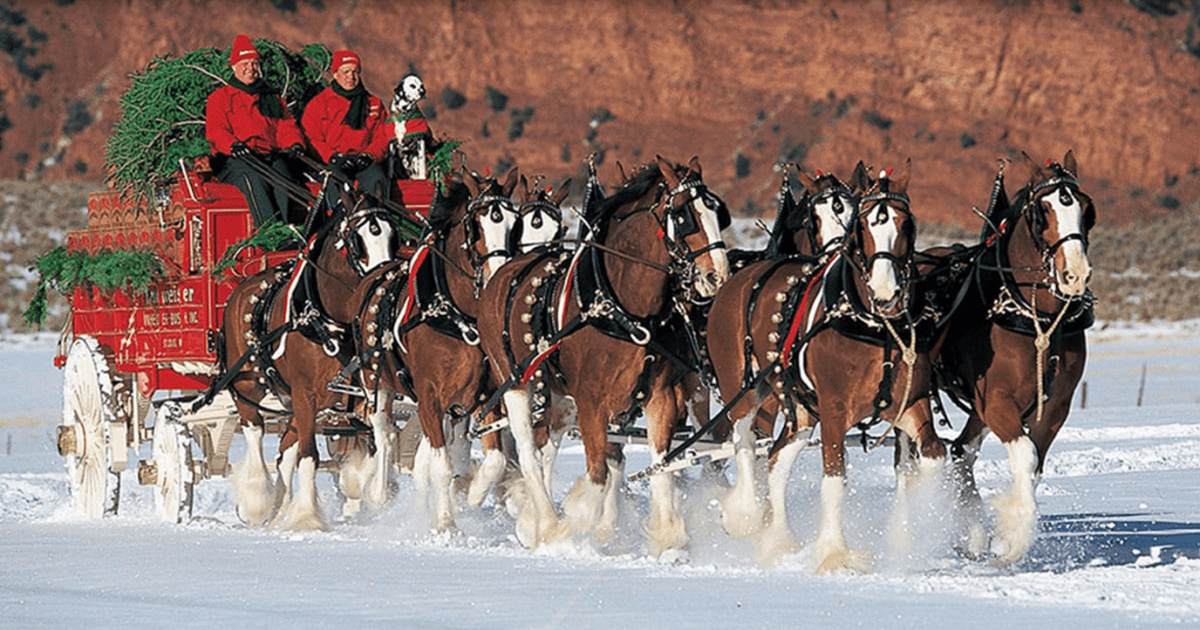 This Budweiser Christmas Commercial From 1987 Will Bring Back Memories ...