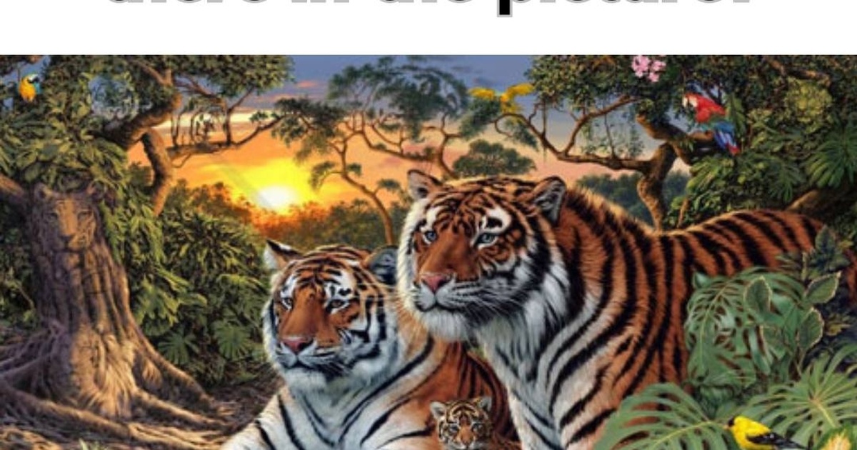 How many tigers are there in the picture? - Yohanpost
