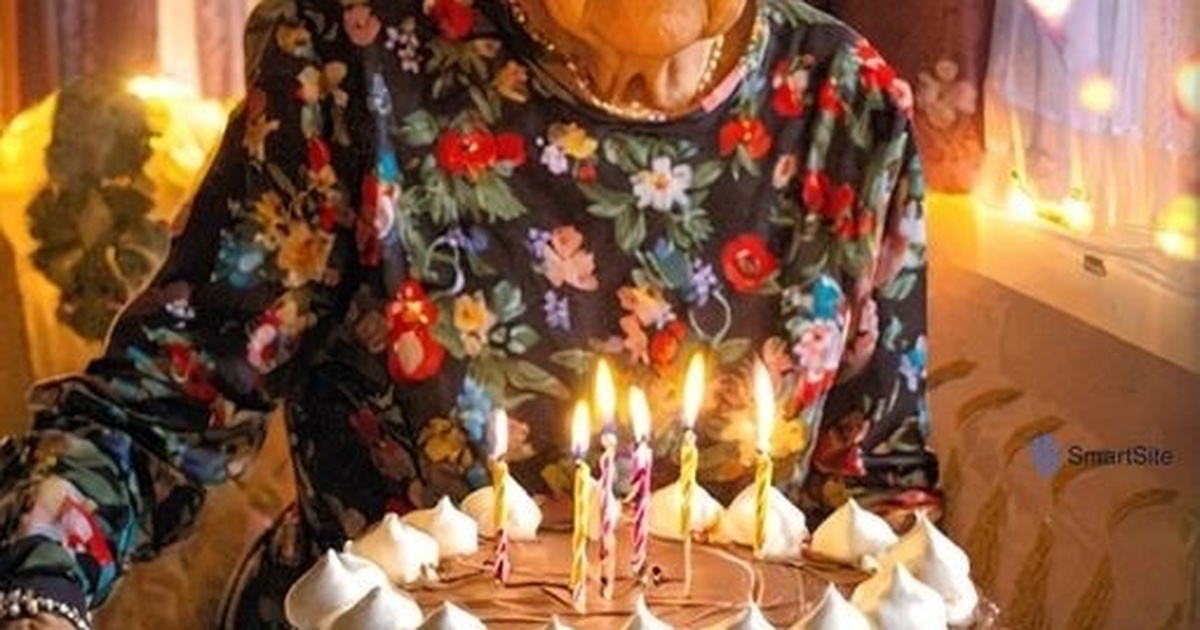 Grandma Celebrated 70th Birthday Alone after Family Found Out about Her ...