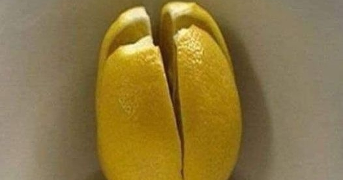Cut a lemon in 4 slices with salt then put them in the center of your ...