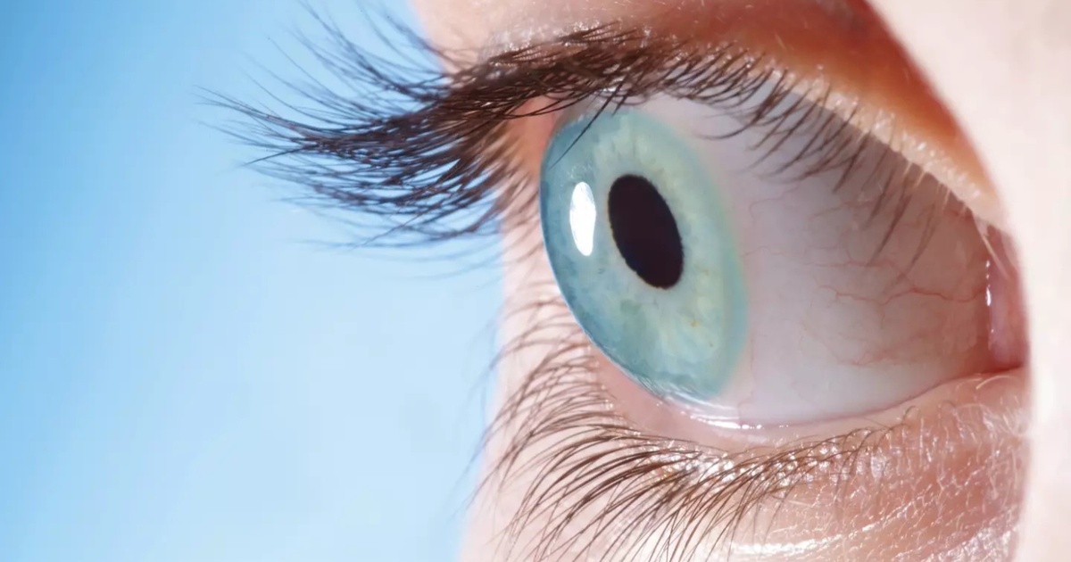 Doctor reveals what to do if you see eye floaters - Yohanpost