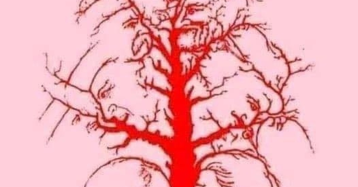 The Hidden Faces of Perception: Unraveling the Mystery of Optical ...