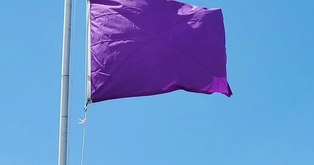 The Meaning of a Purple Flag at the Beach - Yohanpost