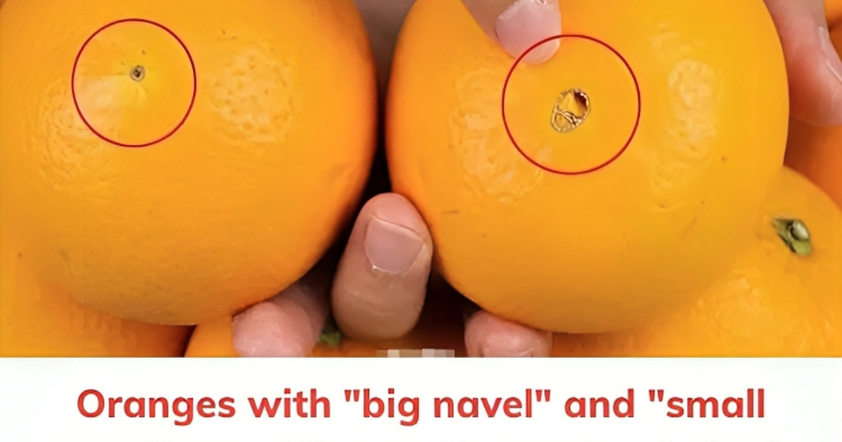 Oranges with “big navel” and “small navel” are different - Yohanpost