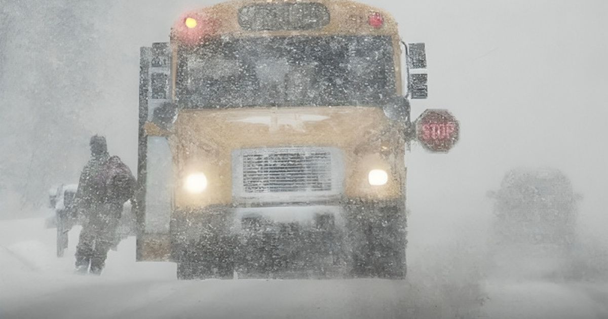 Driver Notices Little Boy Crying in School Bus, Jumps in to Help after ...