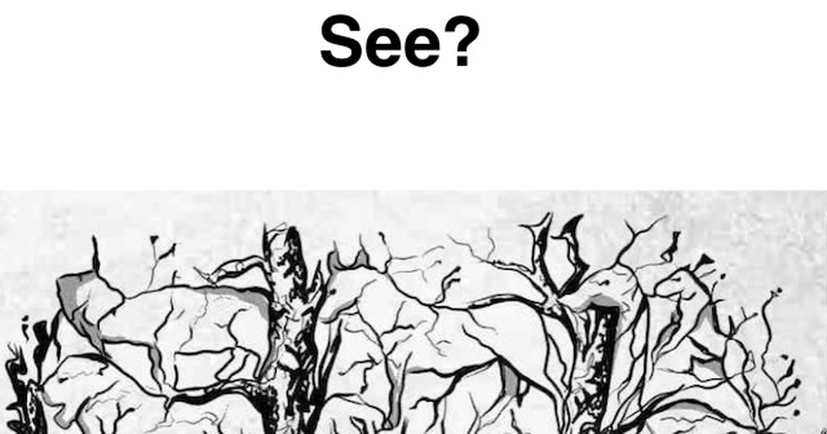 Which Animal Did You See First? Find Out What It Reveals About Your ...