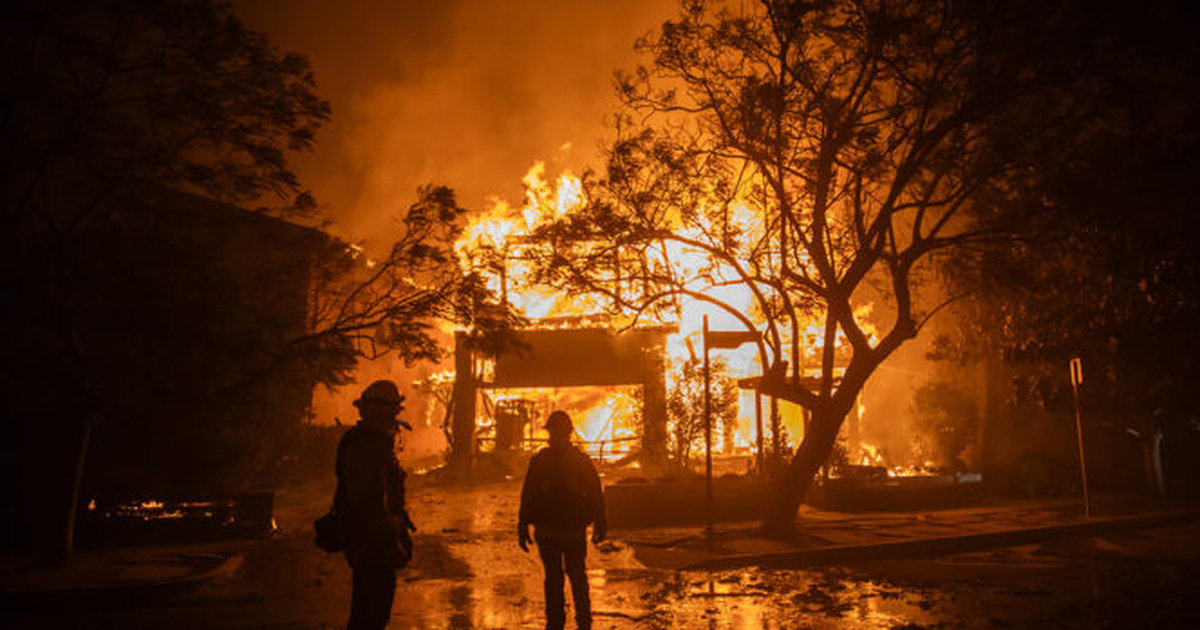 Blues Brothers actress Dalyce Curry dies in LA wildfires - Yohanpost