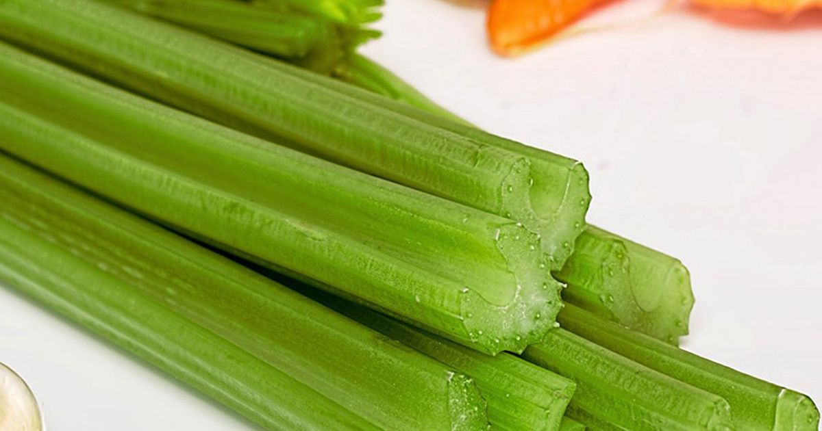 10 Reasons Why You Should Start Eating Celery More Often - Yohanpost