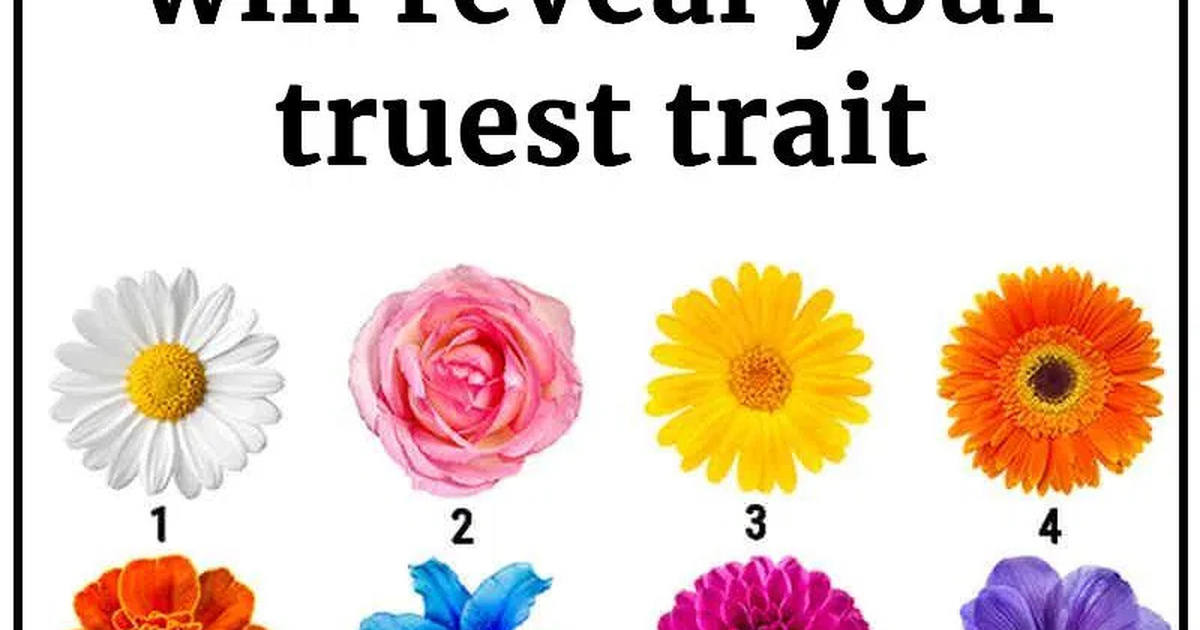 No Ch3ating. The Flower You Pick Will Reveal Your Truest Trait - Yohanpost