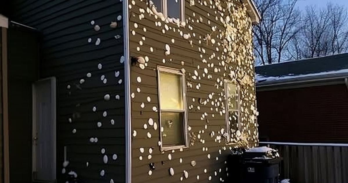 Our House Was Egged on Christmas — I Was Flabbergasted When I Found Out ...