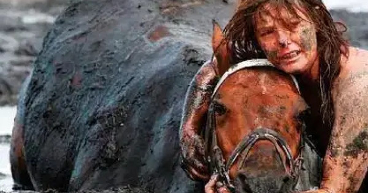 Horse weighting 900 lb gets stuck in mud – Owner clings to him for ...
