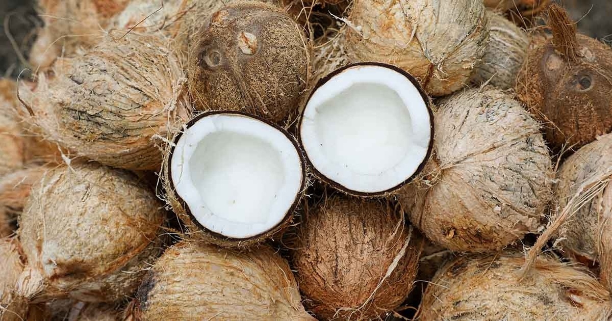 10 Unusual Uses for Coconuts - Yohanpost