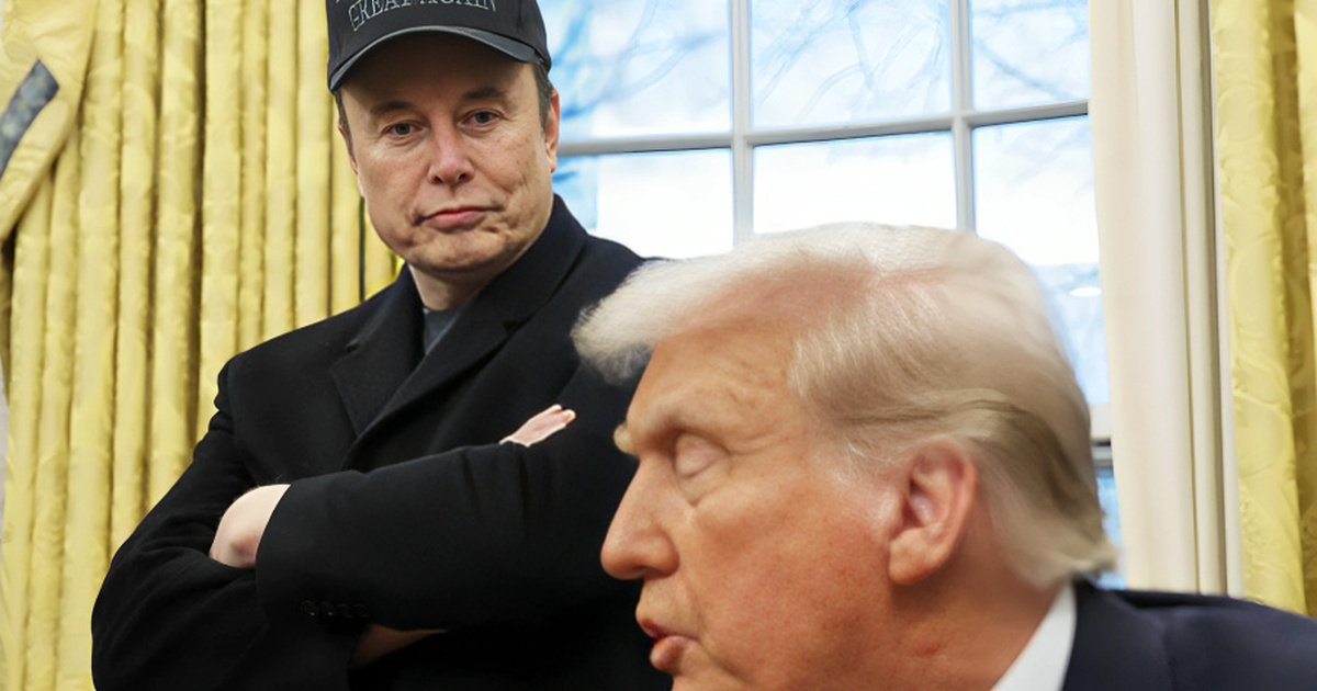Trump and Elon Musk are floating ‘DOGE dividends.’ Low-income Americans ...