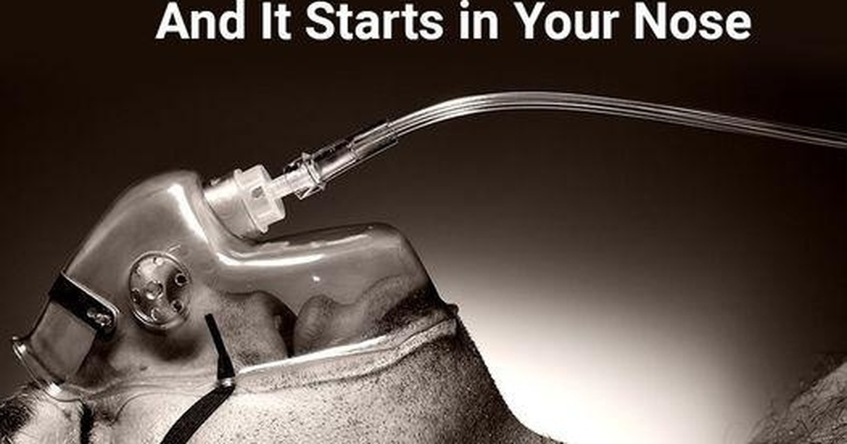 The Body Knows When Death is Near, and It Begins in Your Nose - Yohanpost