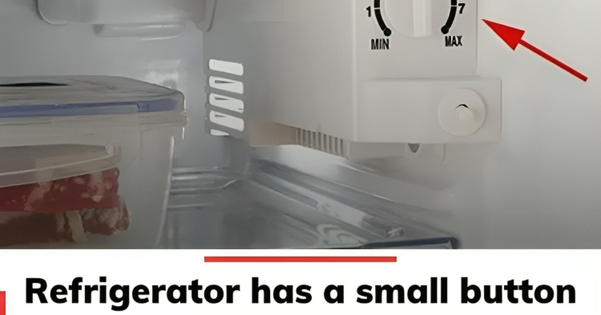 Refrigerator has a small button that can save millions in electricity ...