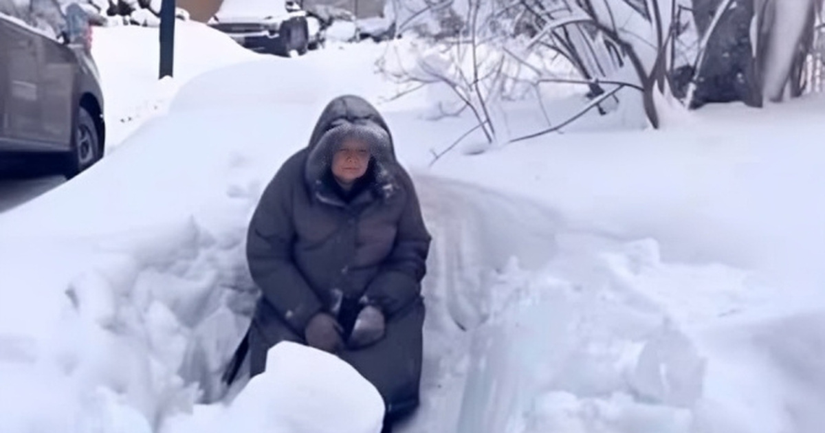 Home On My Way to Work, I Found an Elderly Woman Almost Frozen in a ...