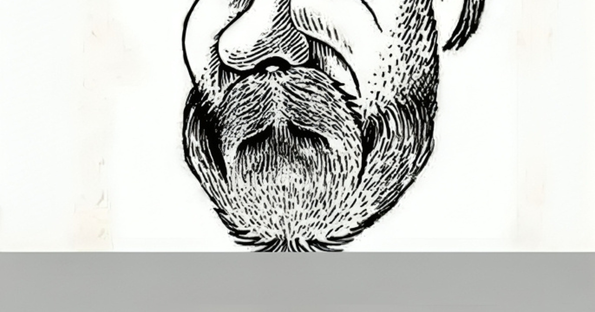 If you can spot the hidden animal in this optical illusion you’re in ...