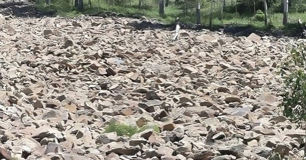 Think You Have a “Sniper’s Eye”? Test Your Vision with This Tricky ...