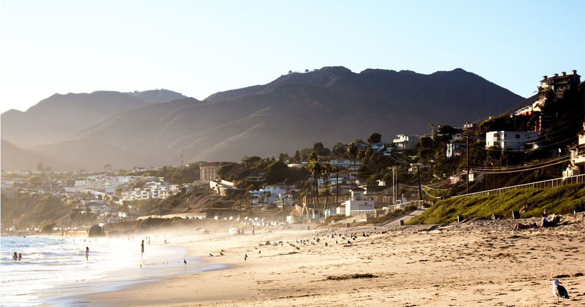 ‘Horrifyingly goofy’ creature washes onto Southern California beach ...