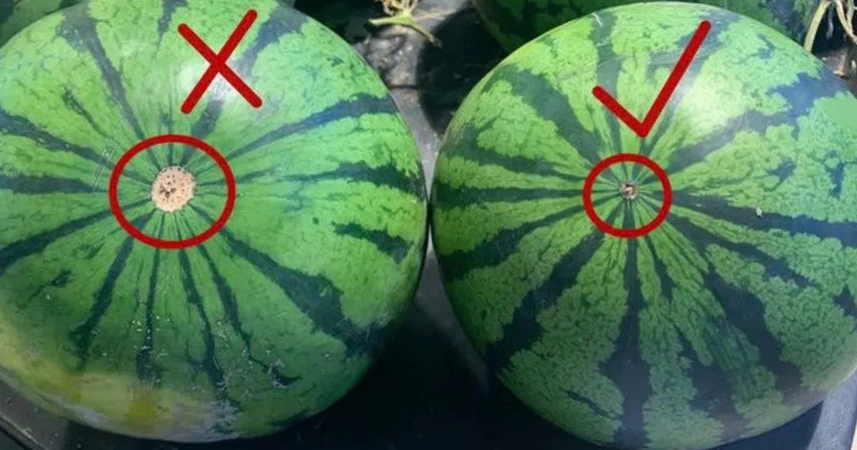 Tips for choosing ripe watermelons with red flesh, sweet, and paper ...