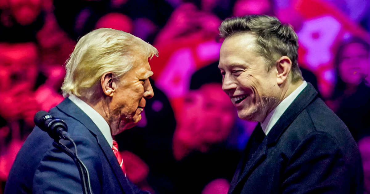 Watchdogs support Musk’s goal of tackling fraud — but question the way ...