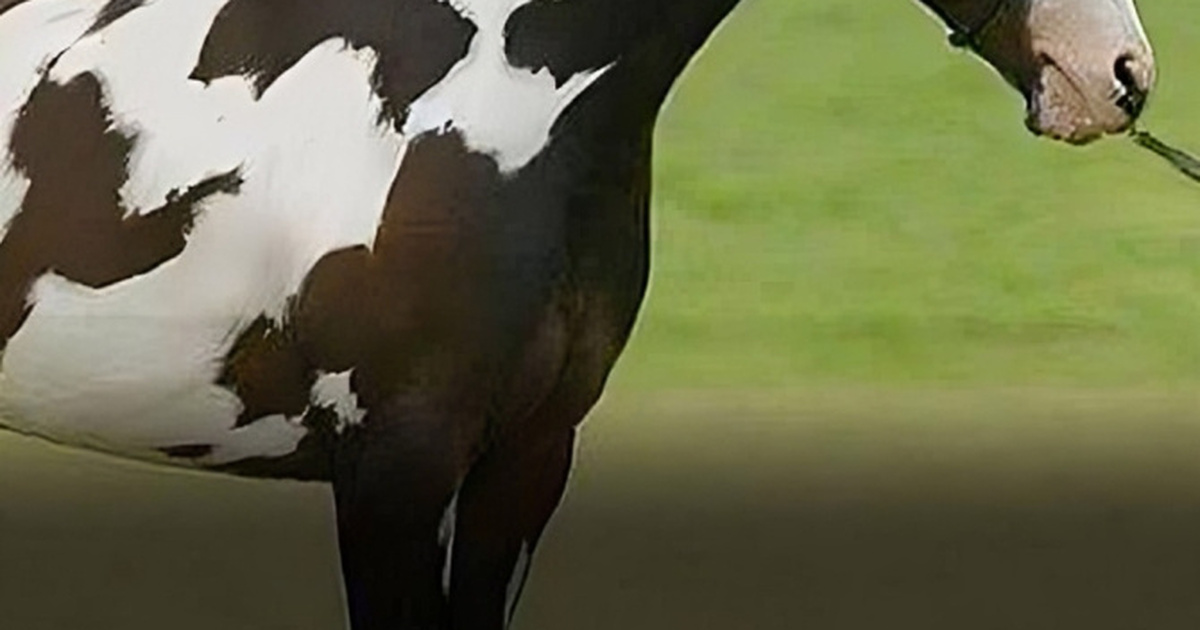 Can You Outsmart This Optical Illusion and Spot the Hidden Horse ...