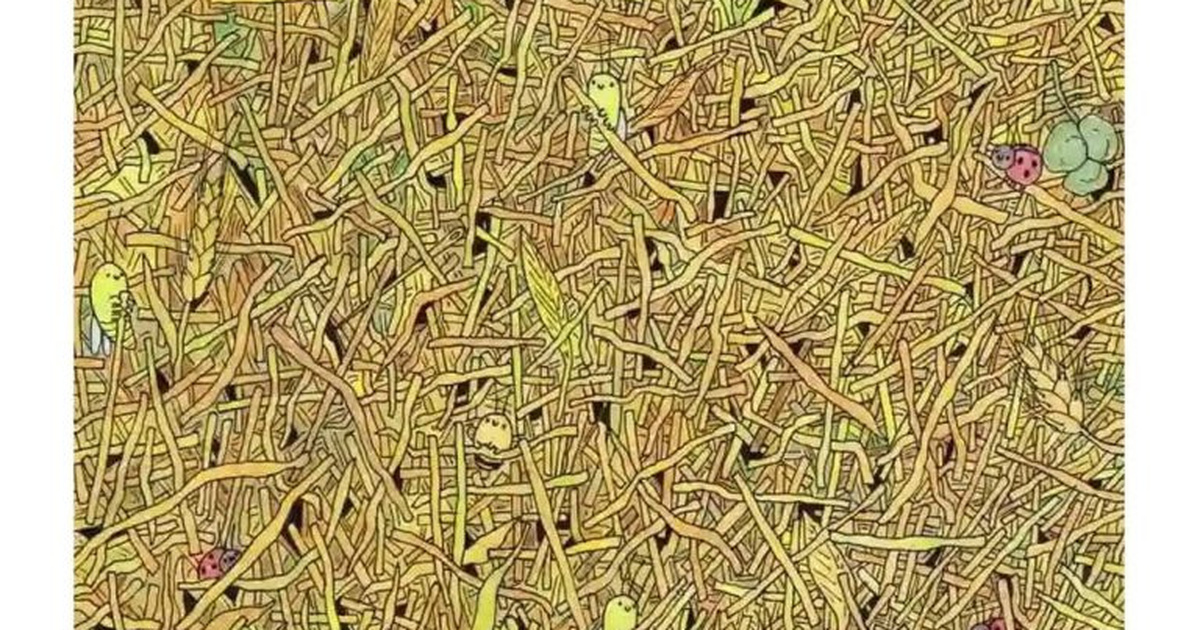 The Needle in the Haystack Challenge: A Visual Test for Sharp Minds ...